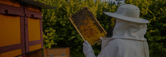 Manuka Magic – King Island Pure